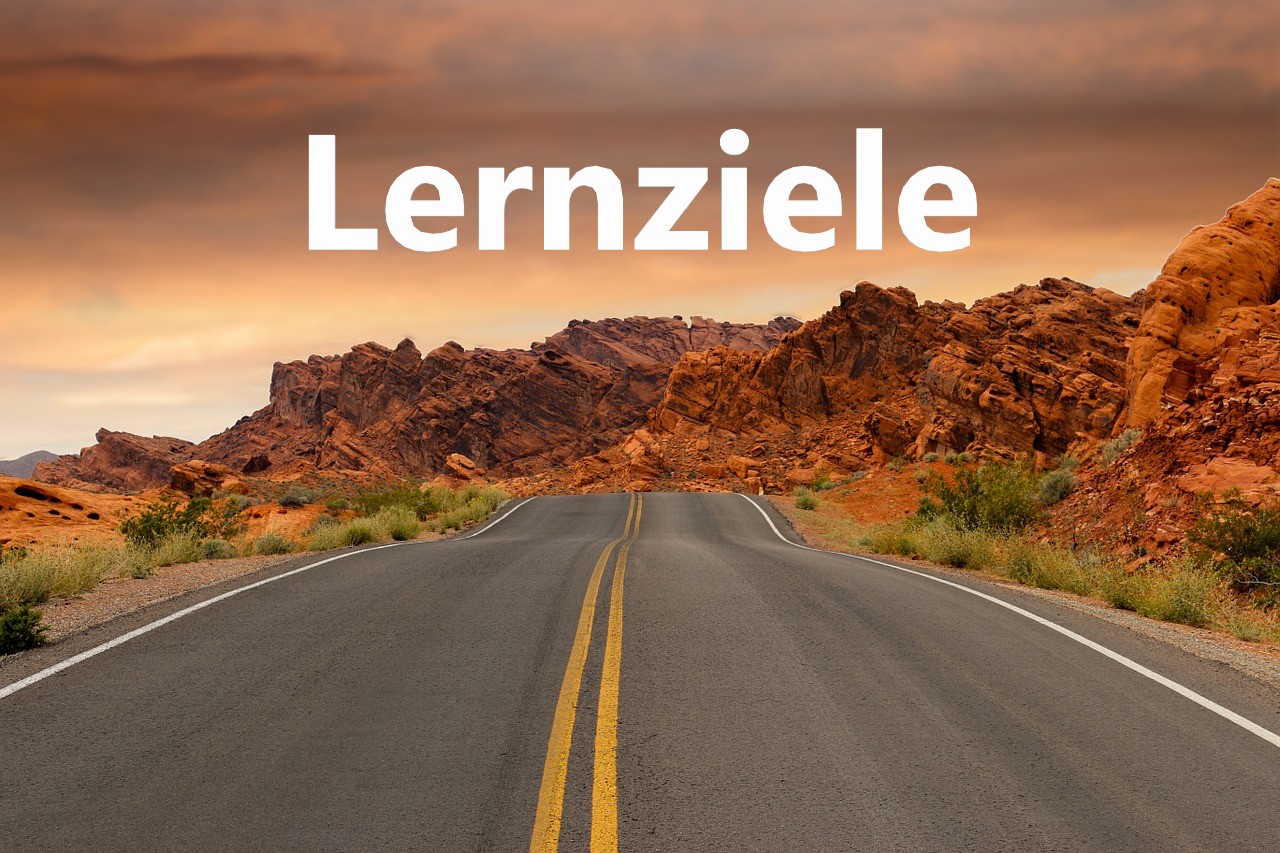 Wie Sie ein konkretes Lernziel festlegen und erreichen - Lesinho